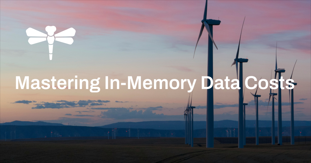 Mastering In-Memory Data Costs